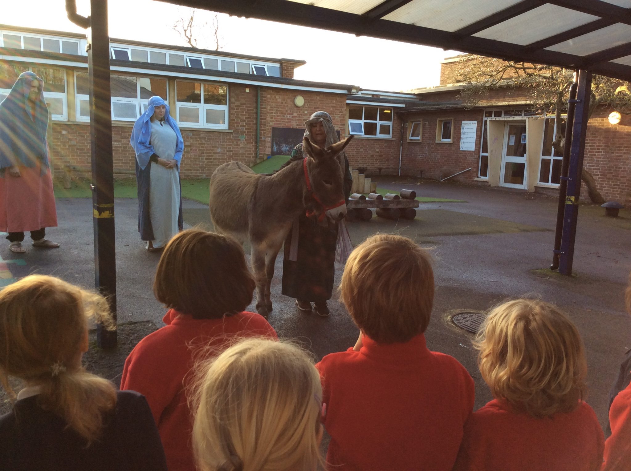 Class 8 Donkey Visit – Henleaze Infant School
