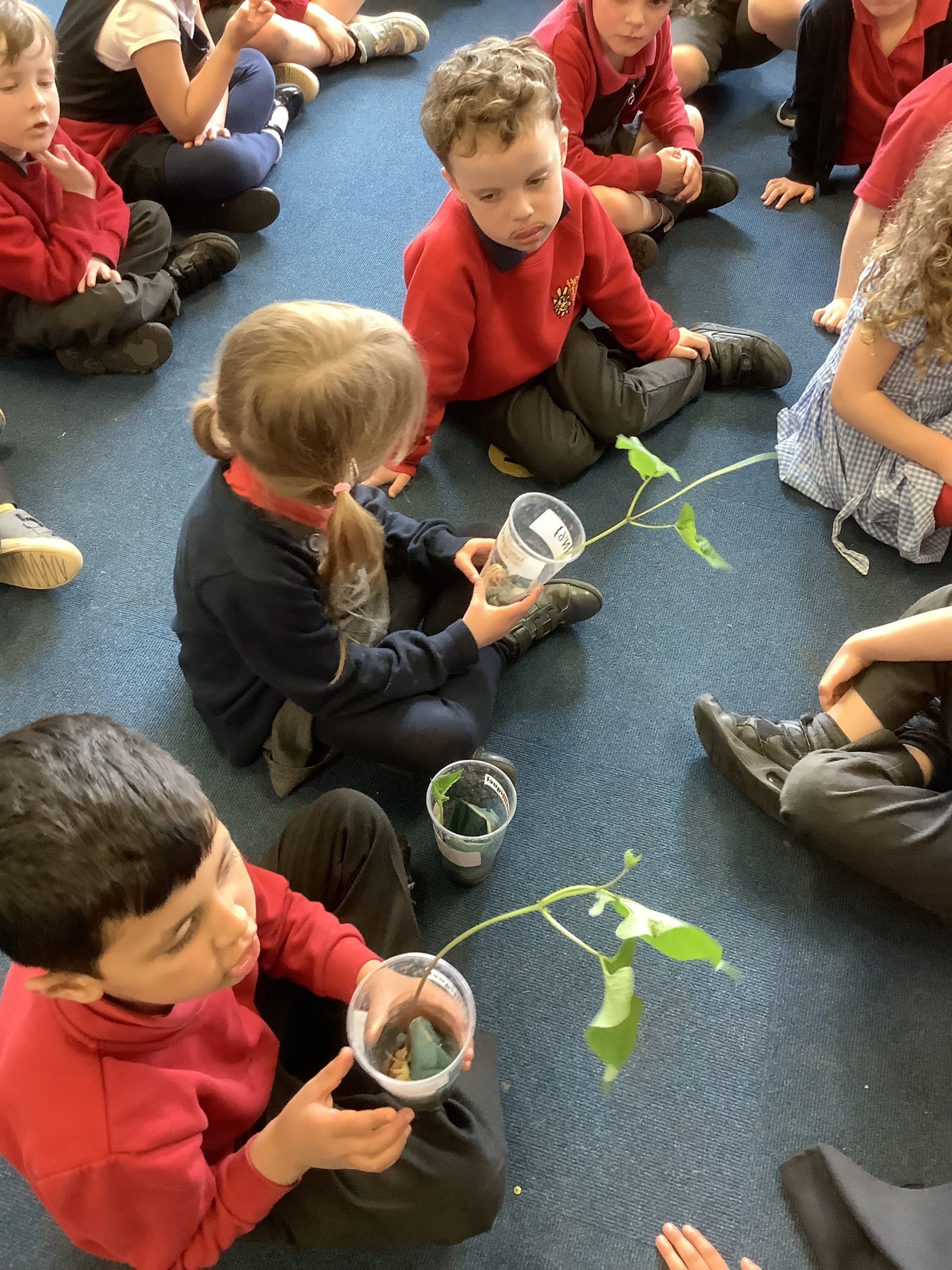 Reception – Term 5, Week 5 – Henleaze Infant School